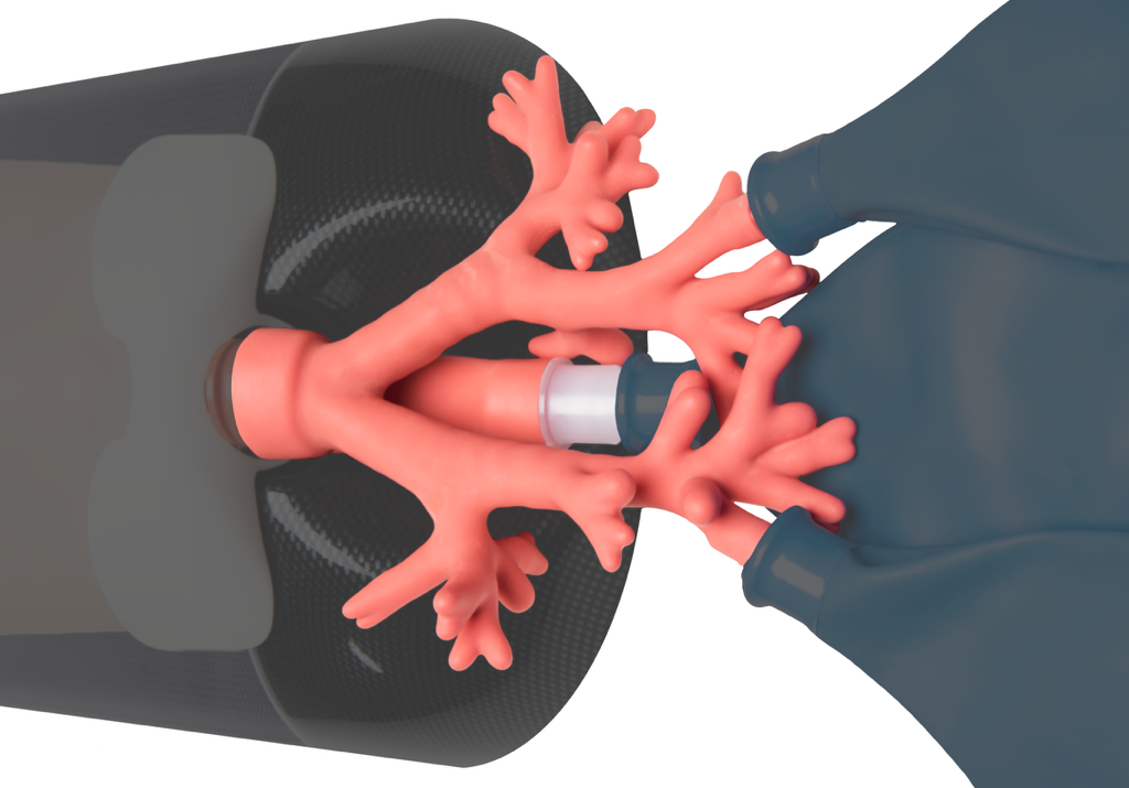 Child Bronchi Tree Module | AirSim Manikins | Waldemar Larsson
